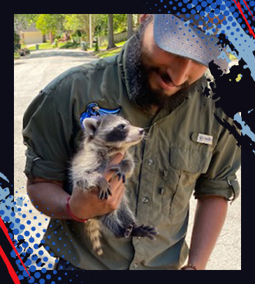 Memphis Raccoon Control | Veteran Owned & Operated